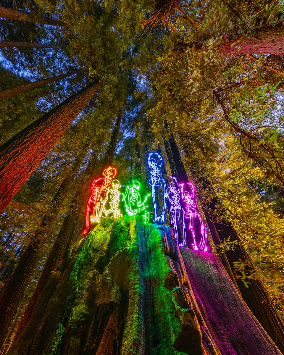 Ancient Redwood Stump Print – Dariustwin