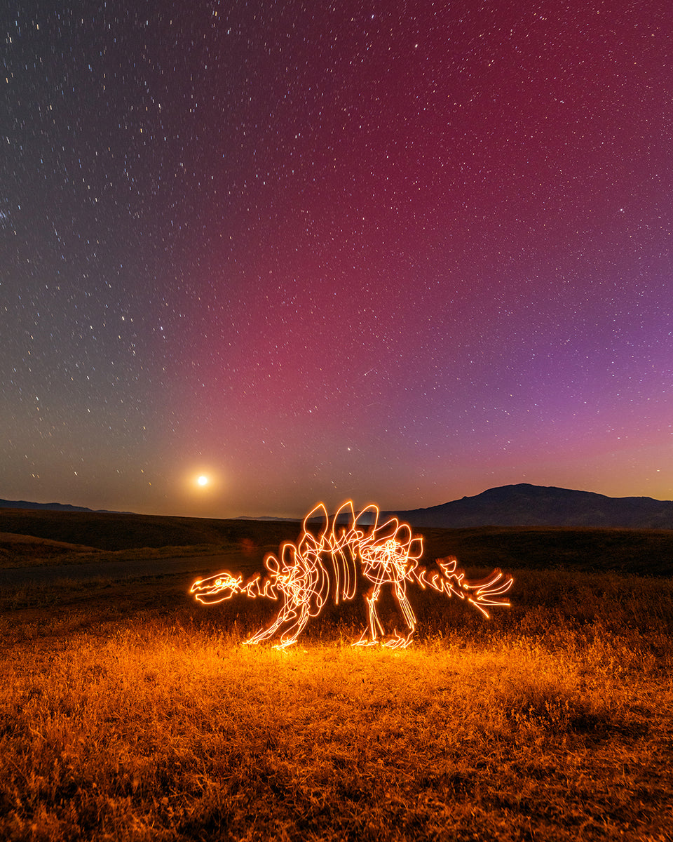 Stegosaurus Under the Aurora Print | Northern Lights Light Painting | Dariustwin