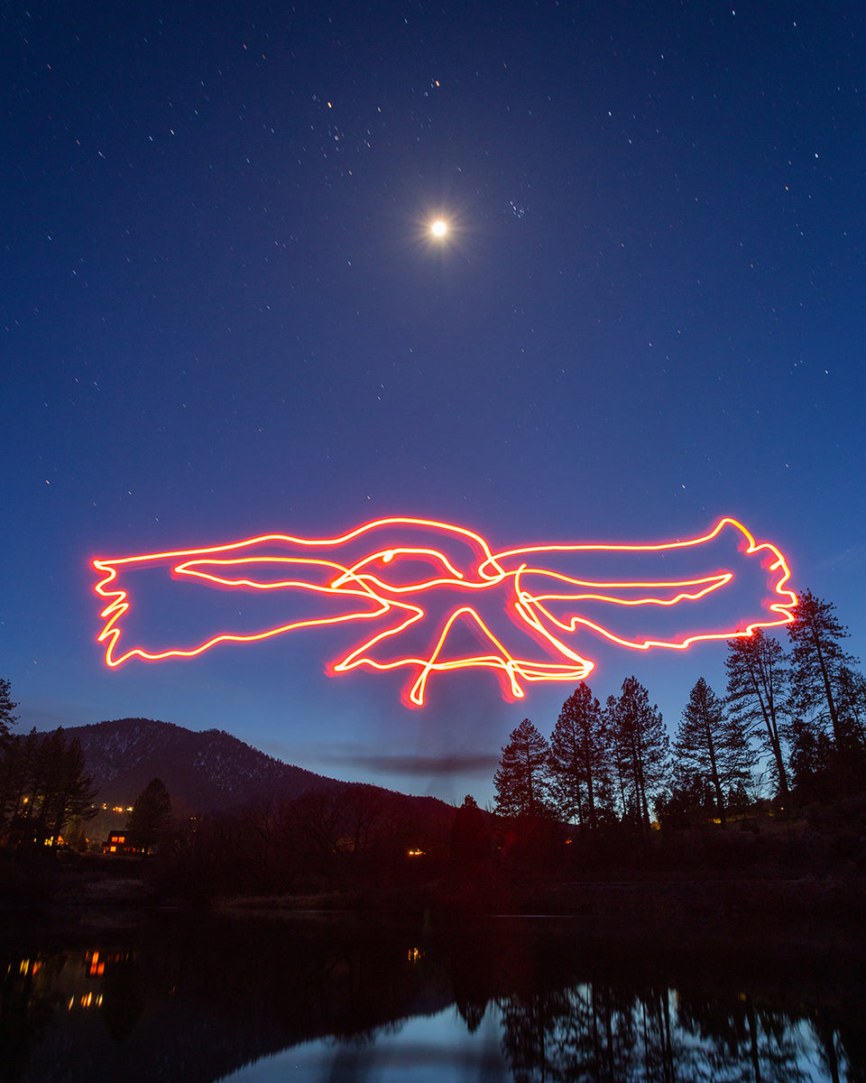 Condor Print – Dariustwin