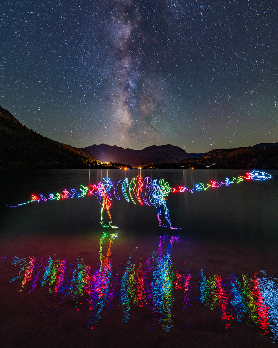 Diplodocus Print – Dariustwin