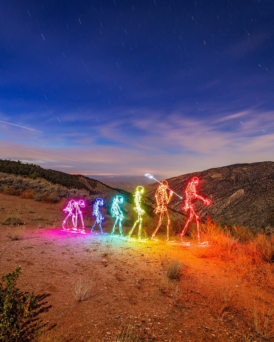 Evolution Print – Dariustwin