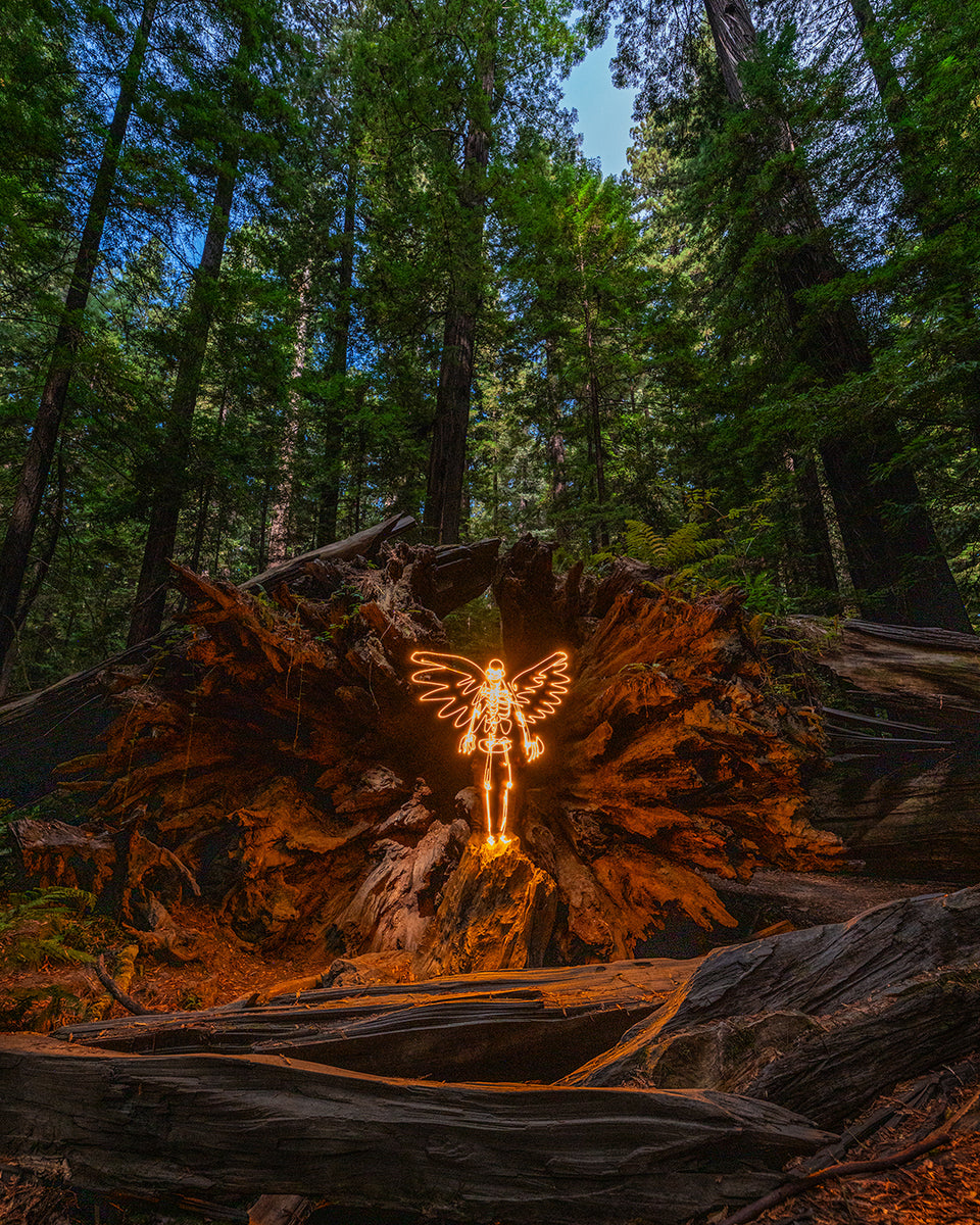 Fallen Giant Print – Dariustwin