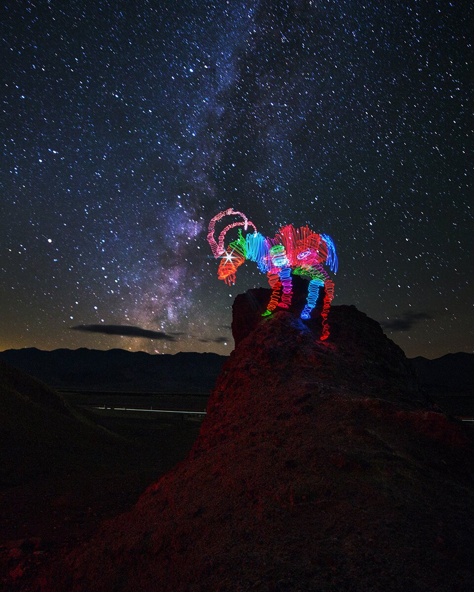 Ibex Print – Dariustwin