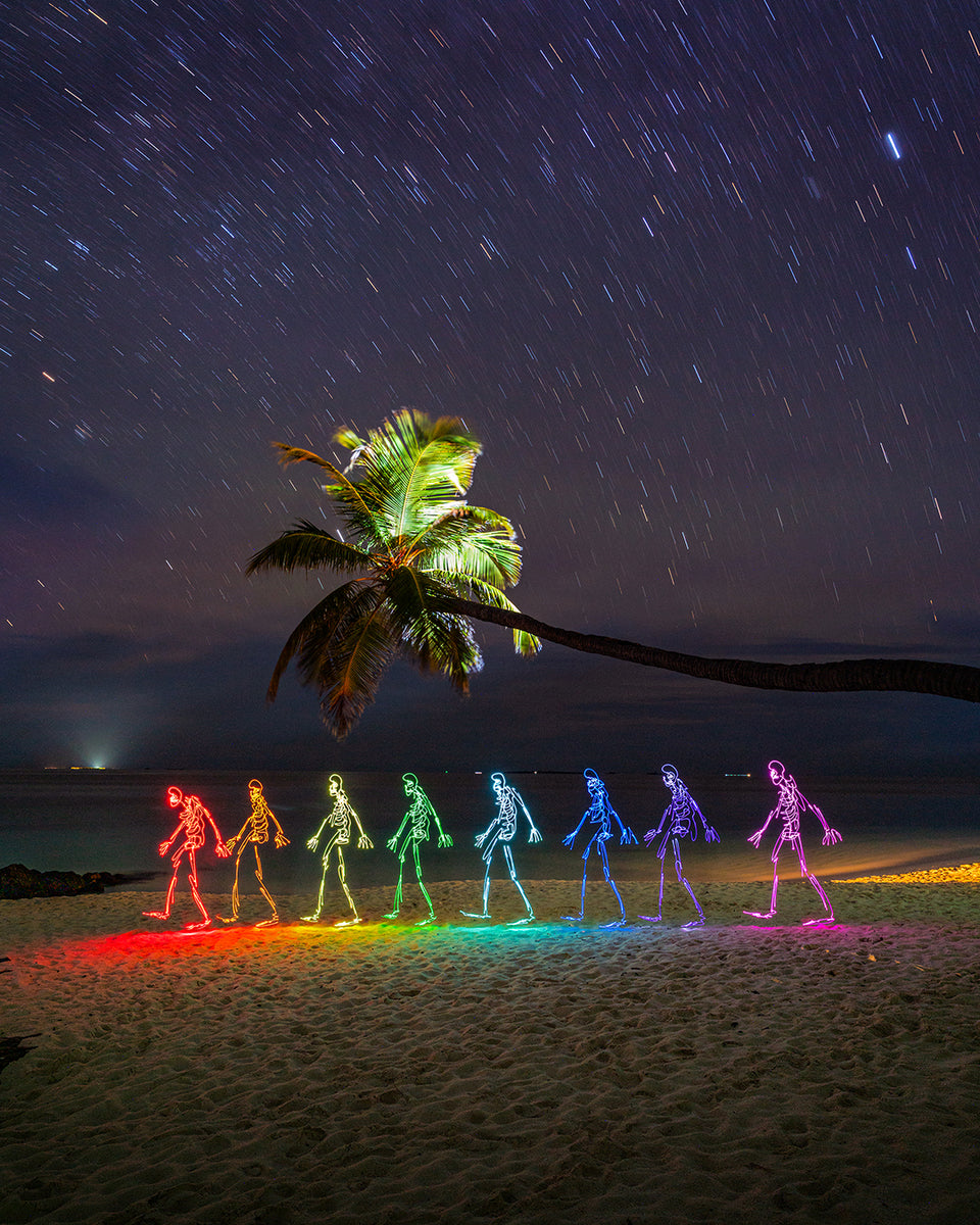 Island Skeletons Print – Dariustwin