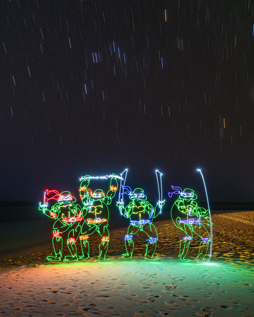 Island TMNT Print – Dariustwin