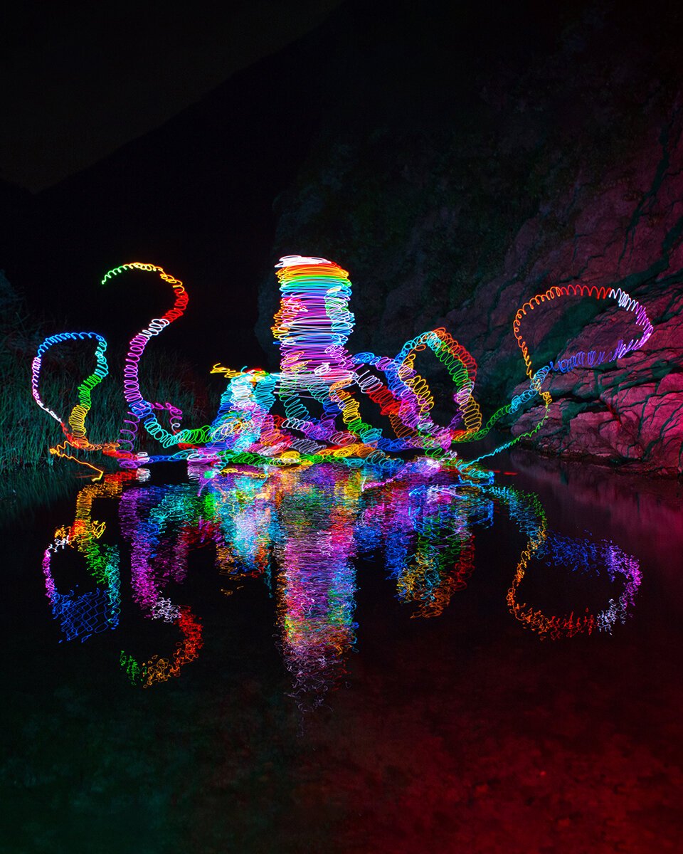 Luminous Tentacles Print – Dariustwin