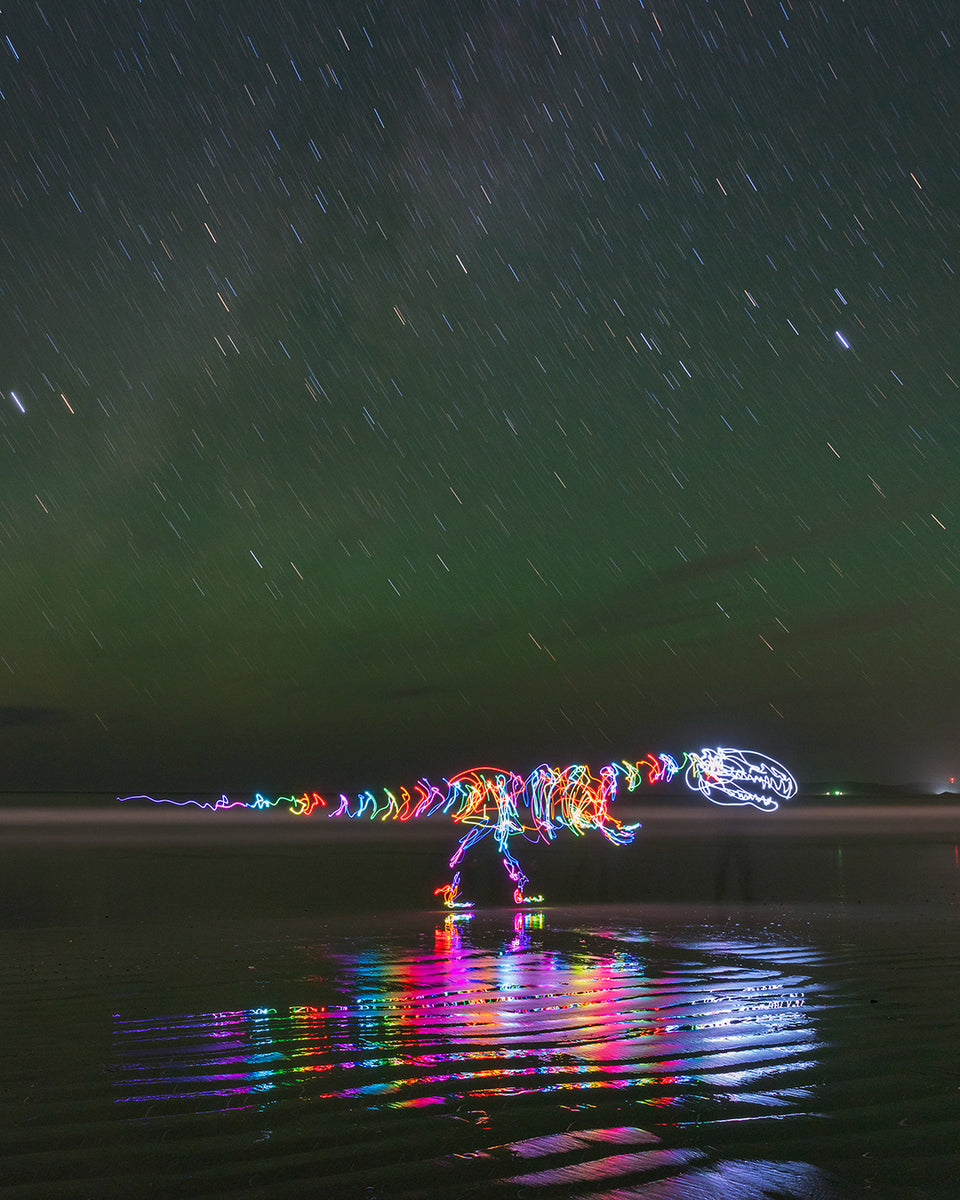 Seaside T Rex Print – Dariustwin