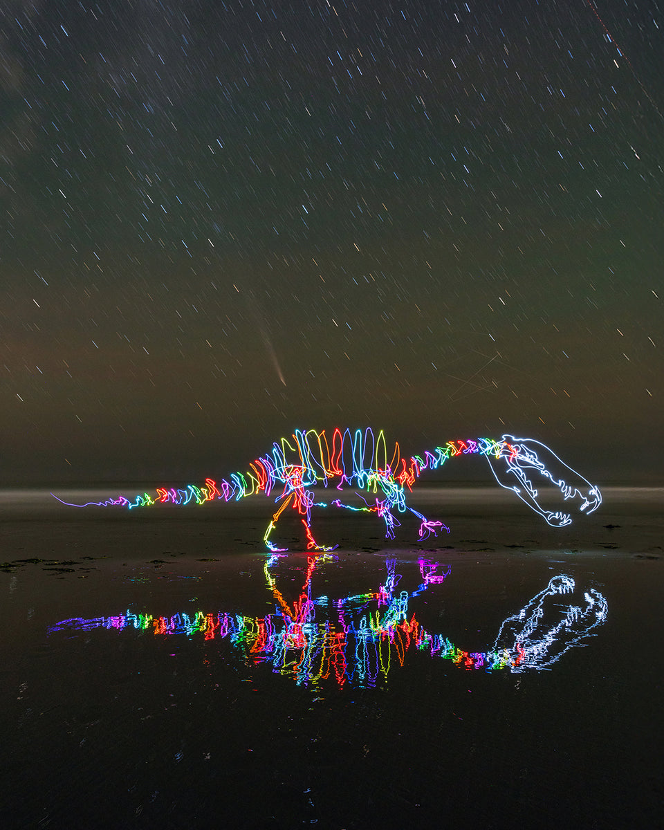 Spinosaurus Comet Print – Dariustwin