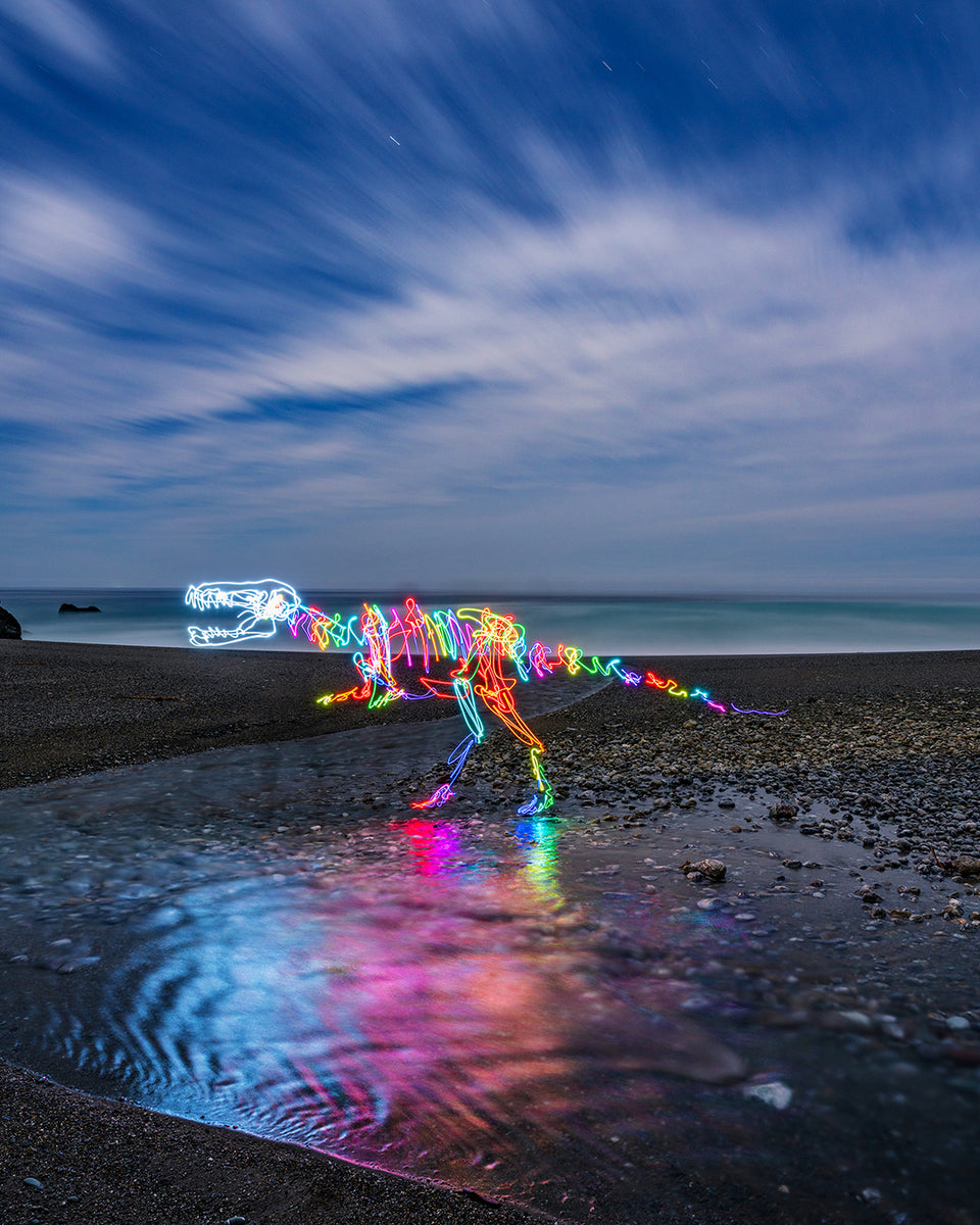 T Rex Limekiln Creek Print – Dariustwin