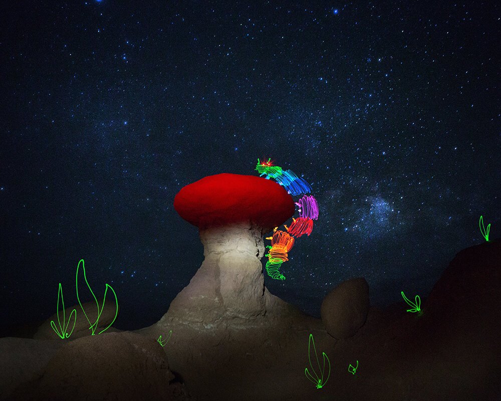 Light Caterpillar Print – Dariustwin