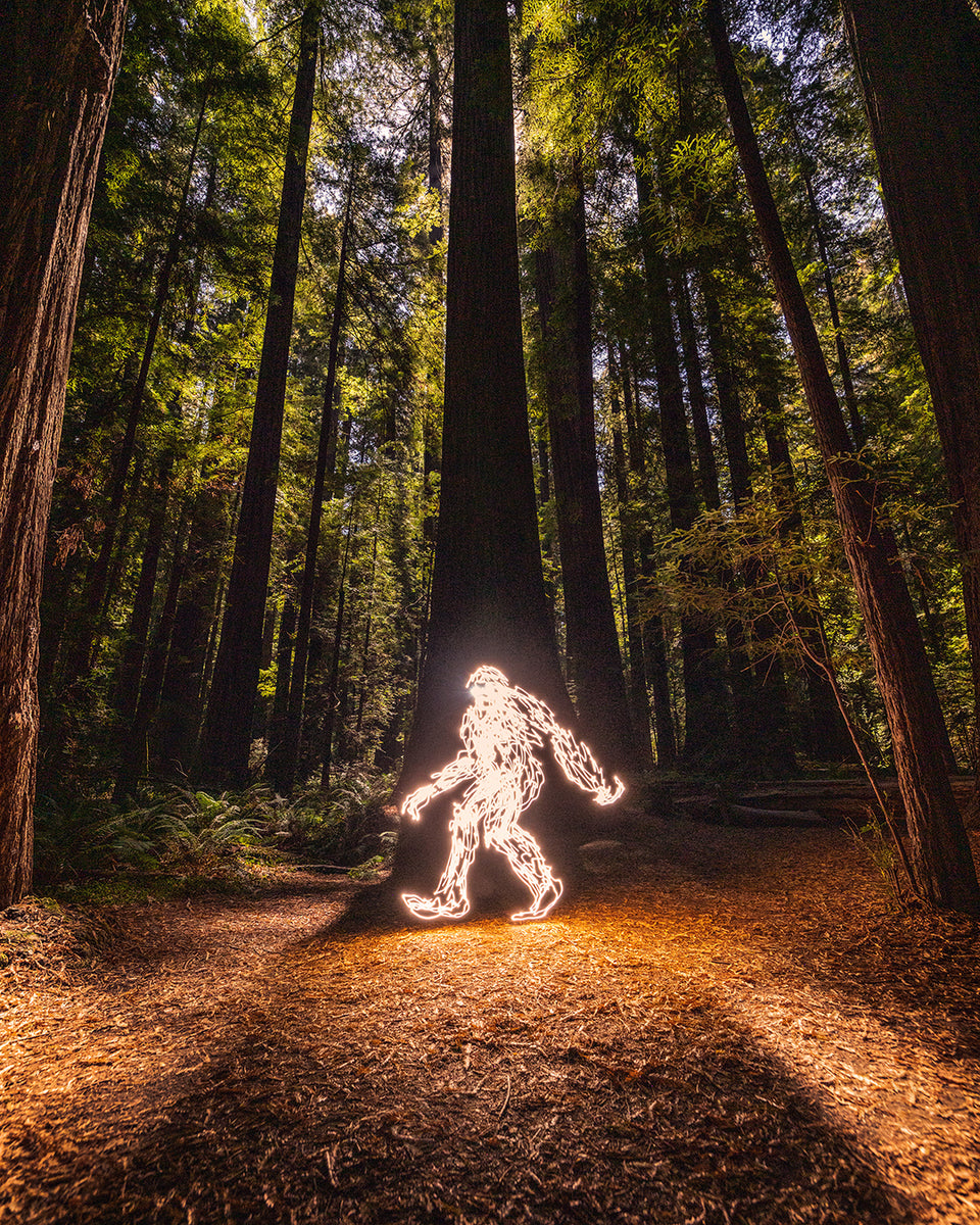 Classic Bigfoot Light Painting Print | Redwood Cryptid Art | Dariustwin