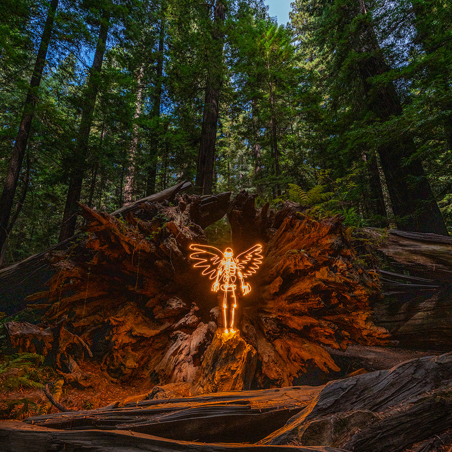 Dariustwin - Light Painting Photography