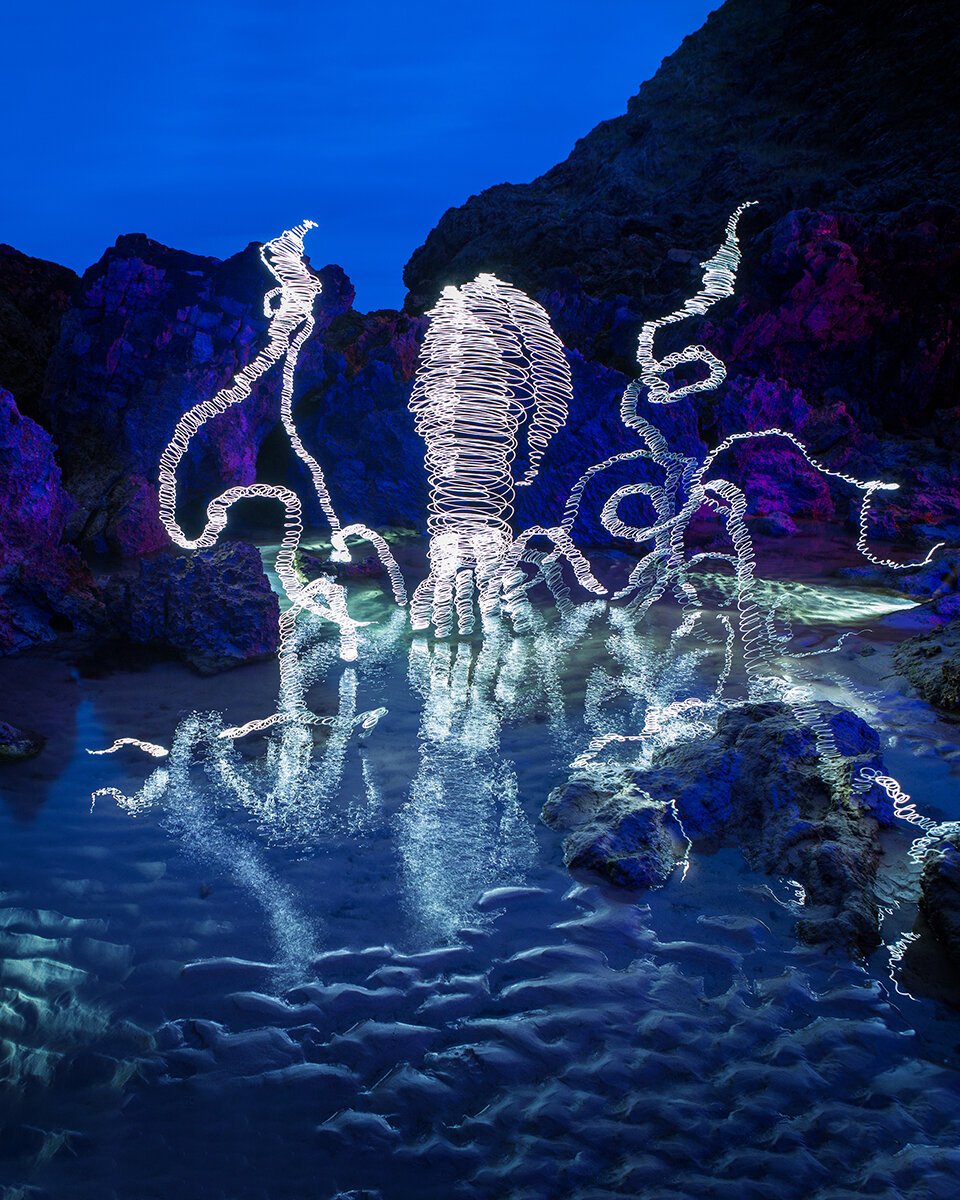 Giant Squid Print – Dariustwin