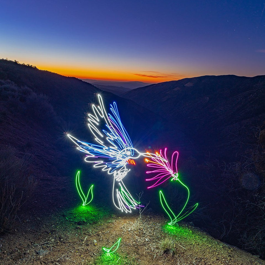 Dariustwin - Light Painting Photography