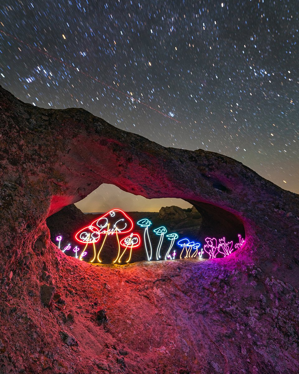 Mushroom Arch Print – Dariustwin