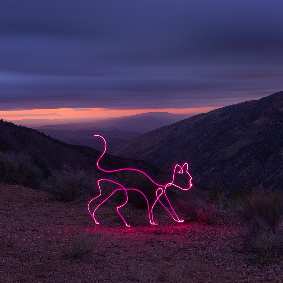 Dariustwin - Light Painting Photography