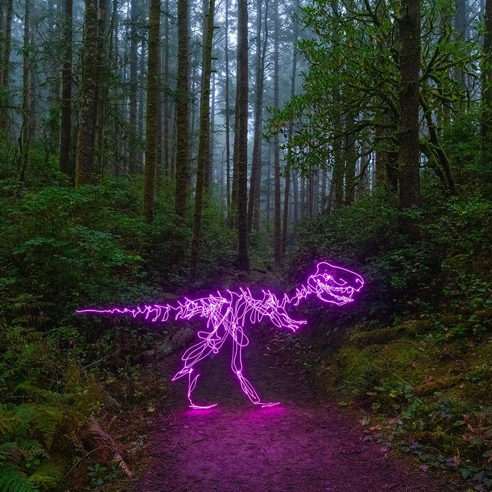 Dariustwin - Light Painting Photography