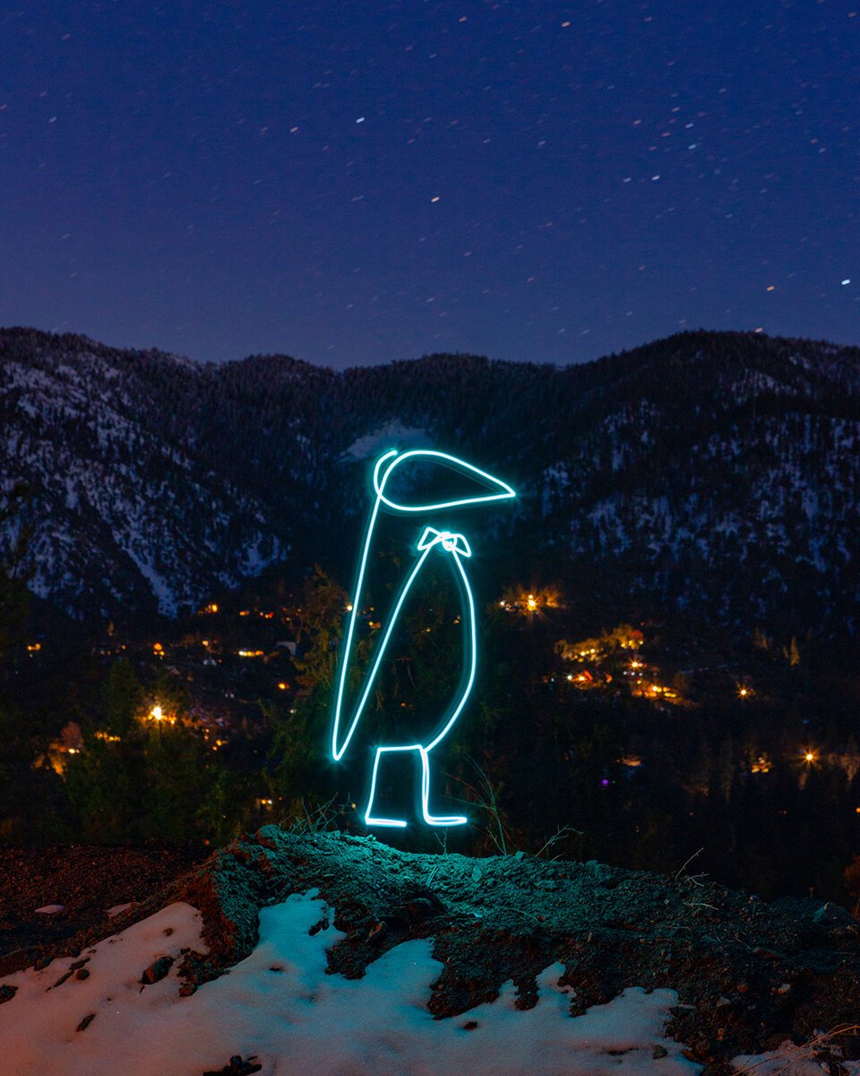 Prestigious Penguin Print – Dariustwin