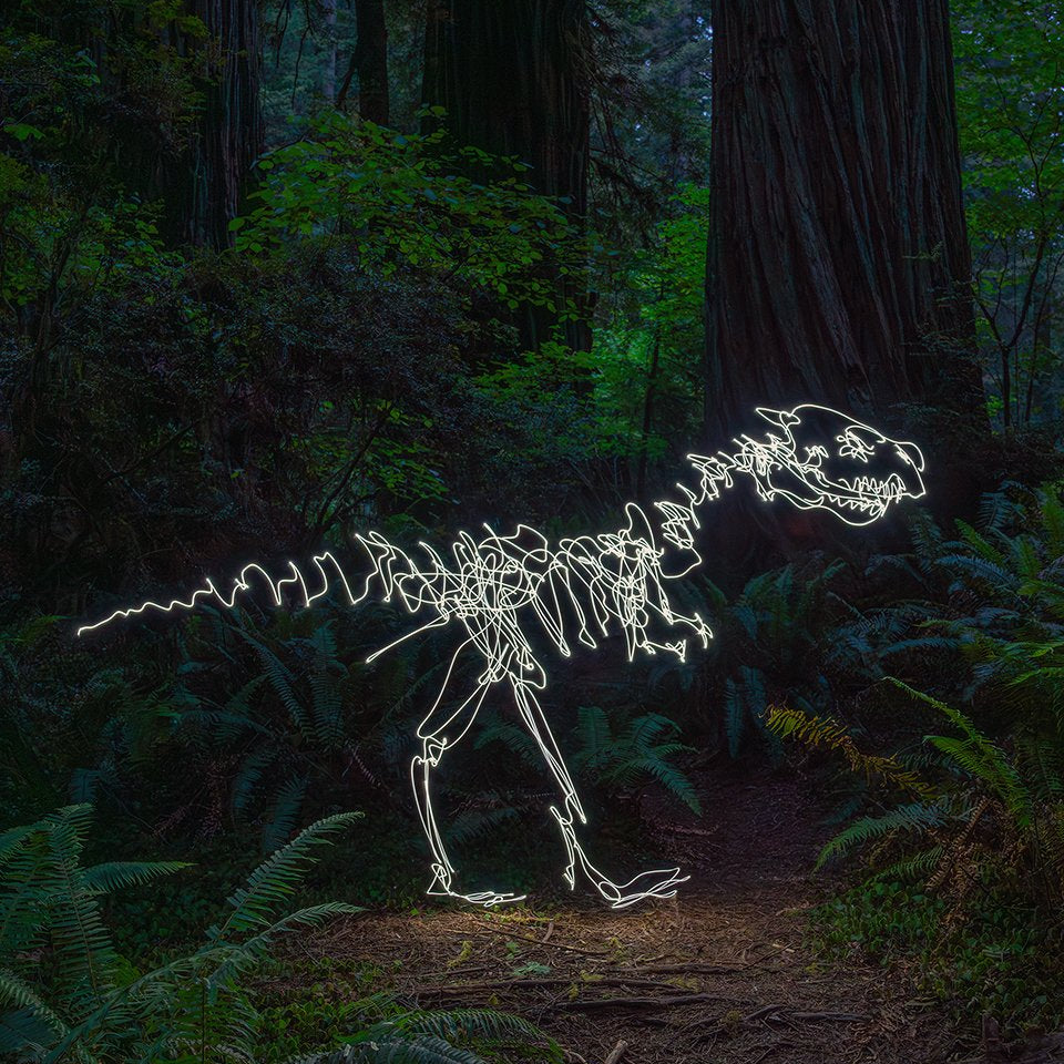 Dariustwin™ | Light Painting Photography, Art Prints & Viral Stories