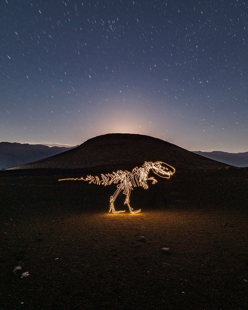 T Rex Cinder Cone Print – Dariustwin