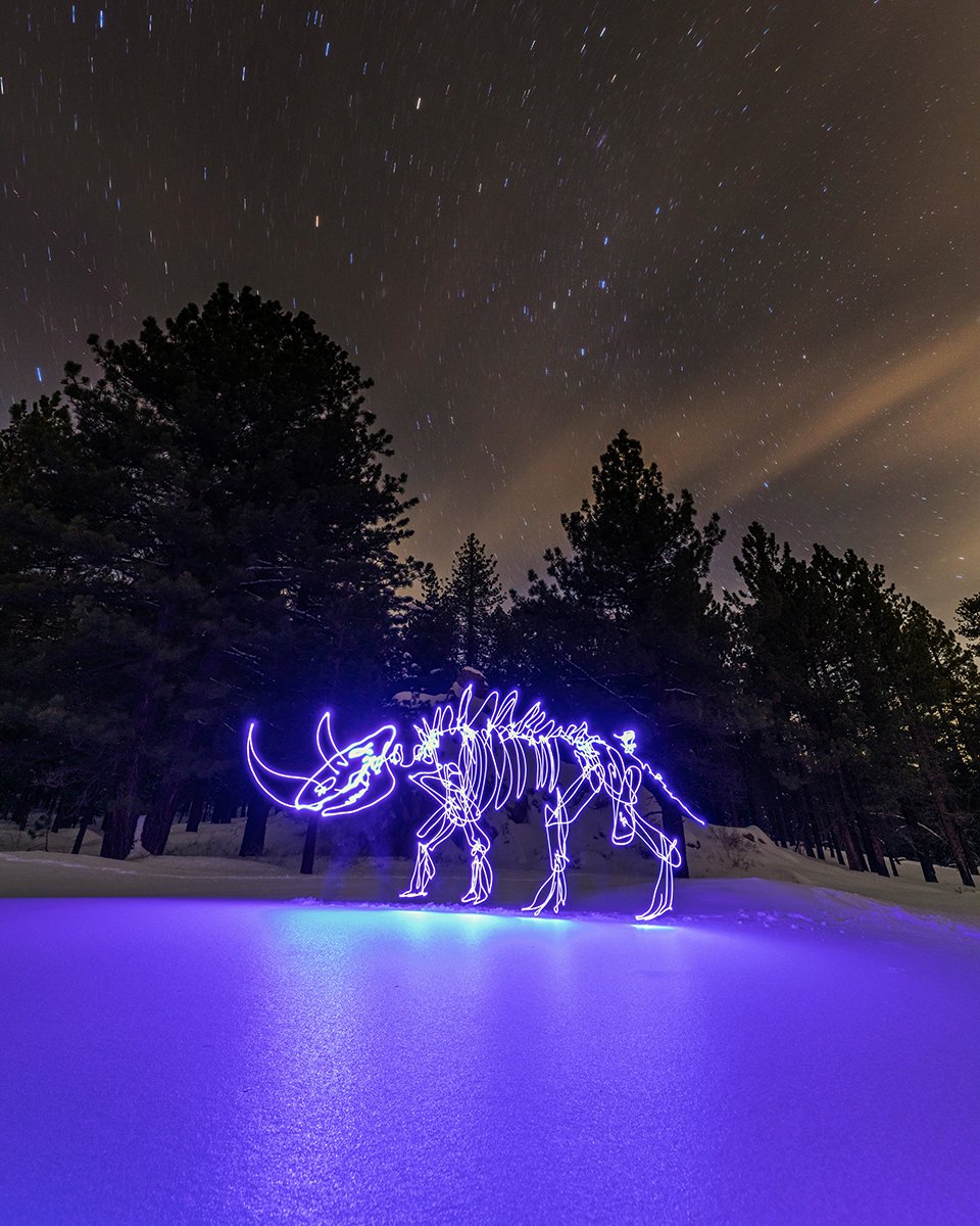 Wooly Rhinoceros Print – Dariustwin