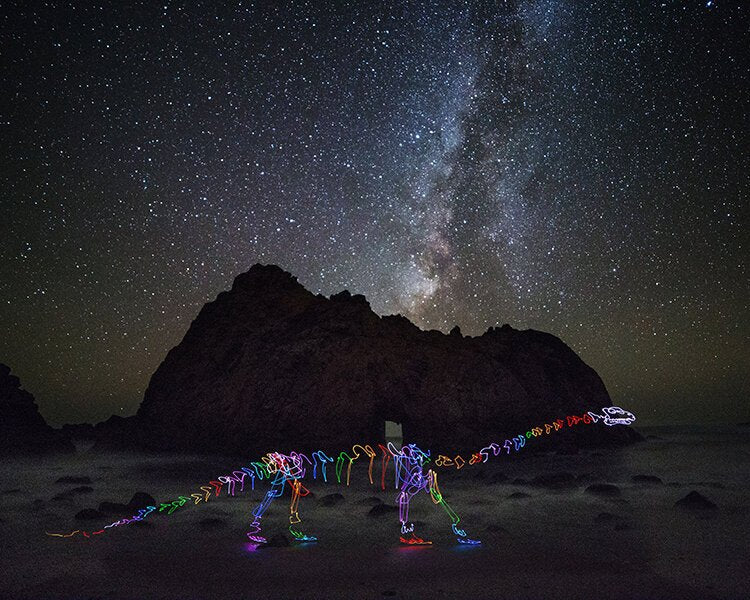 Midnight Creature Print – Dariustwin