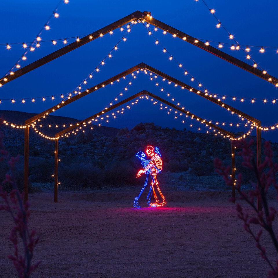 Dariustwin™ | Light Painting Photography, Art Prints & Viral Stories
